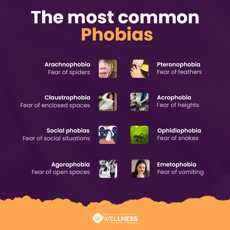 Most Common Phobias In 2024 Gwyn Francine